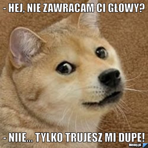 - Hej, nie zawracam ci głowy? - Niie... tylko trujesz mi dupe! - Memy.pl