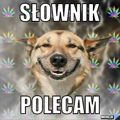 Memes Slownik