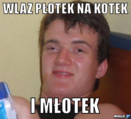 Wlaz płotek na kotek i młotek - Memy.pl