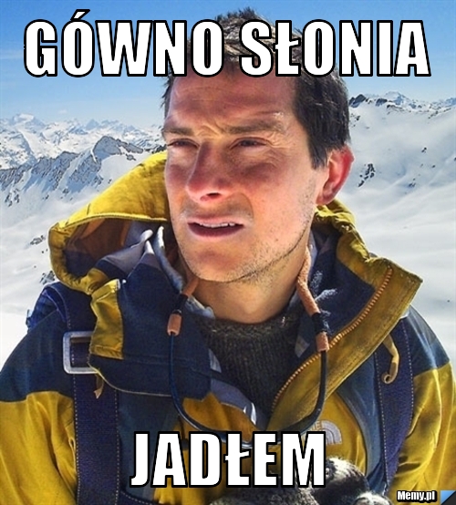 Gówno słonia jadłem - Memy.pl