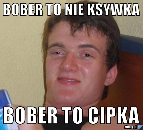 Bober to nie ksywka bober to cipka - Memy.pl
