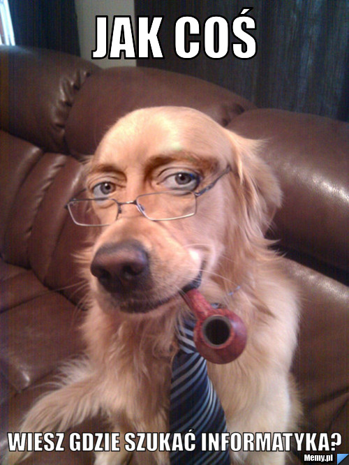 Jak coś Wiesz Gdzie Szukać Informatyka? - Memy.pl