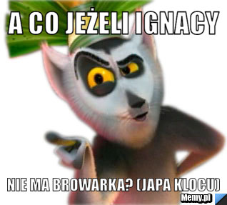 A co jeżeli Ignacy Nie ma browarka? (Japa klocu) - Memy.pl