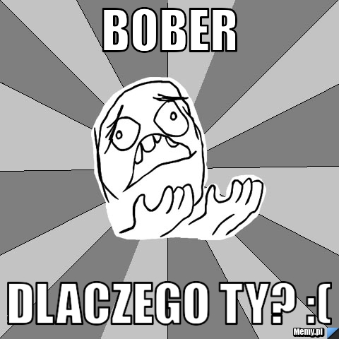 Bober dlaczego ty? :( - Memy.pl