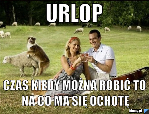 Urlop czas kiedy można robić to na co ma się ochotę - Memy.pl