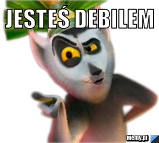 Jesteś debilem - Memy.pl
