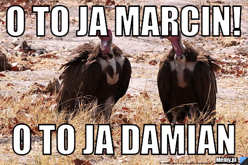 O TO JA MARCIN! O TO JA DAMIAN - Memy.pl