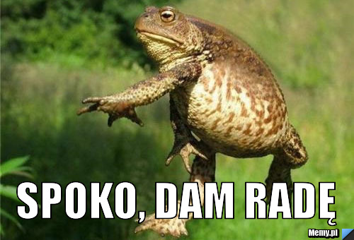 Spoko, dam rad? Spoko, dam radę - Memy.pl