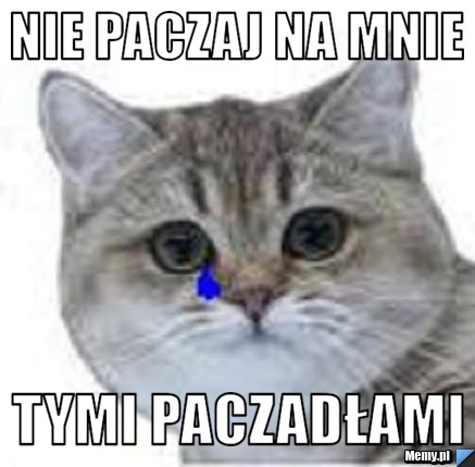 Nie paczaj na mnie tymi paczadłami - Memy.pl