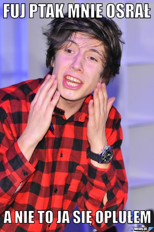 Fuj ptak mnie osrał a nie to ja się oplułem - Memy.pl