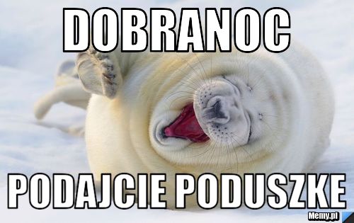 DOBRANOC PODAJCIE PODUSZKE - Memy.pl