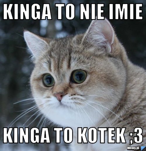 KINGA TO NIE IMIE KINGA TO KOTEK ;3 - Memy.pl