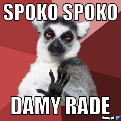 Spoko spoko damy rade - Memy.pl