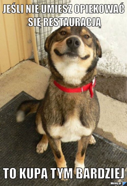 Jeśli nie umiesz opiekować się restauracją to kupą tym bardziej - Memy.pl
